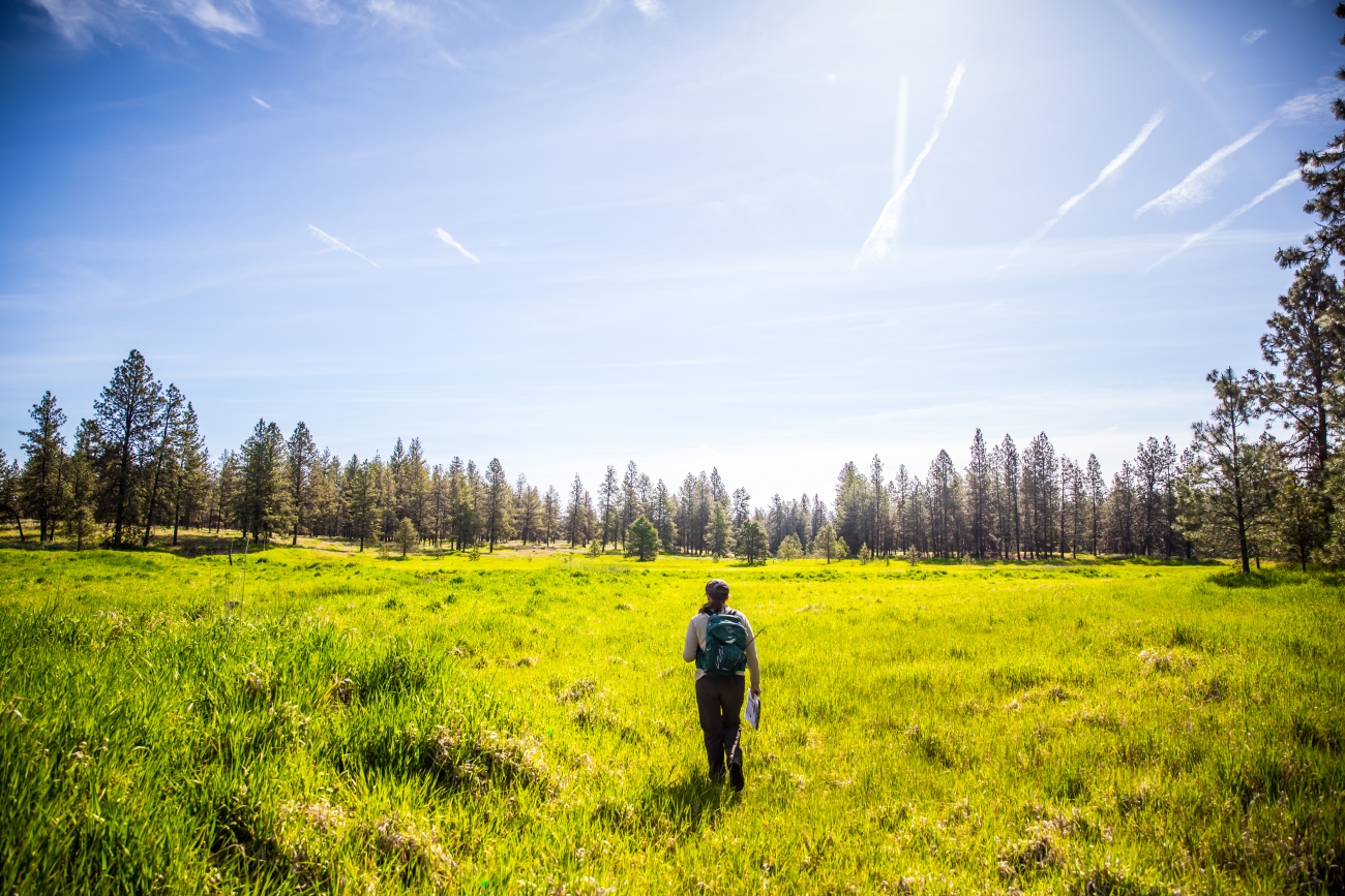 Turnbull NWR - Waterfowl Surveys | FWS.gov