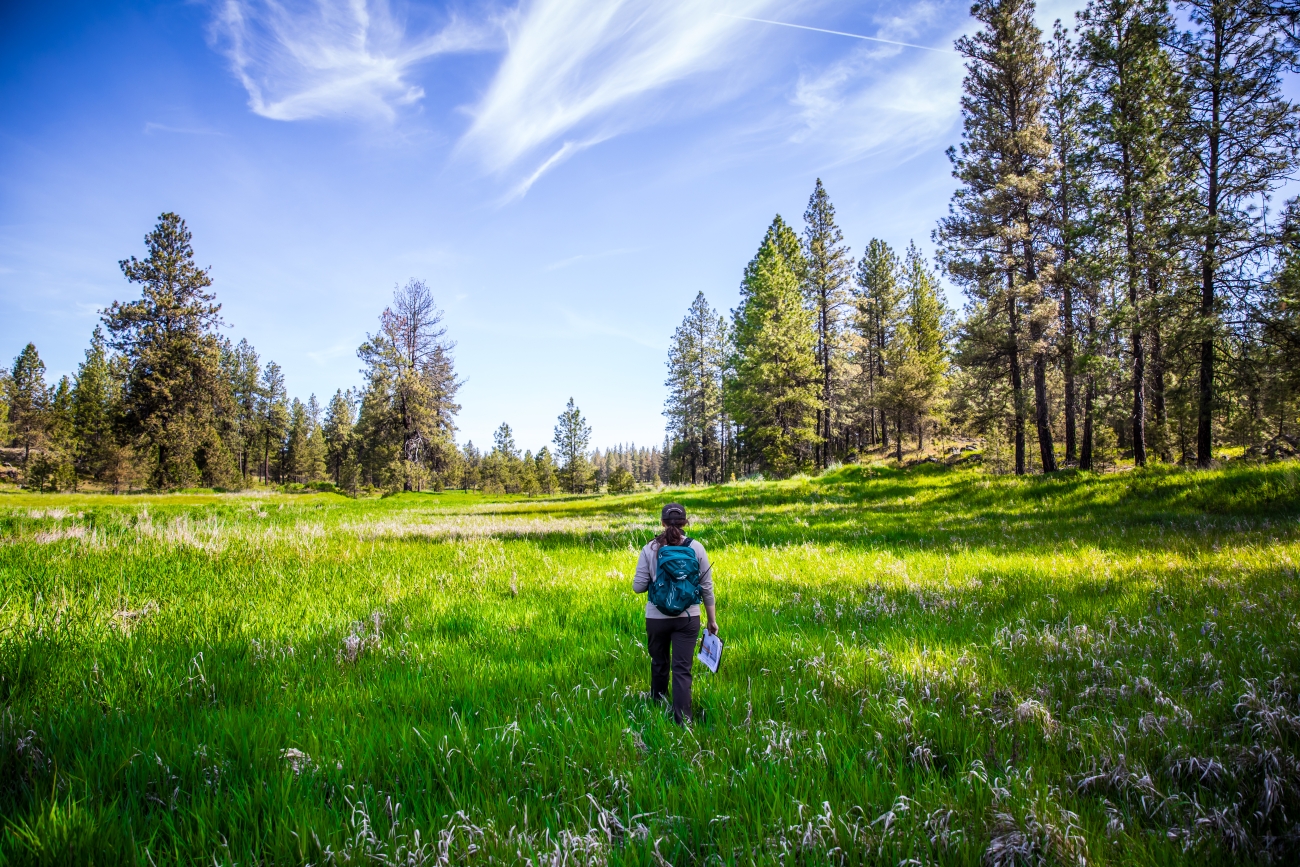 Turnbull NWR - Waterfowl Surveys | FWS.gov