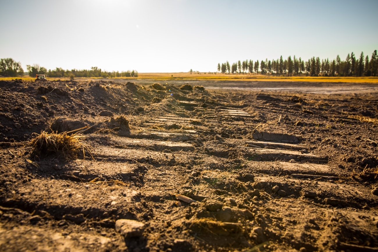 Turnbull NWR - Jolly Jack Unit Restoration | FWS.gov