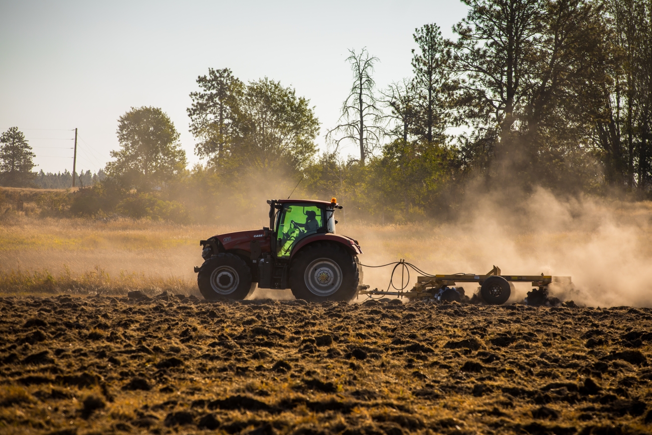 Turnbull NWR - Jolly Jack Unit Restoration | FWS.gov