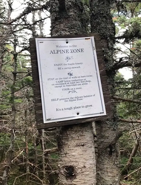 White Mountain trail signage | FWS.gov