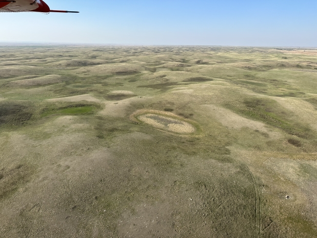 Dry wetlands in western grasslands of Southern Saskatchewan.jpg | FWS.gov