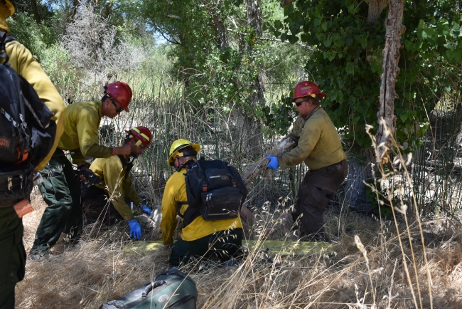 Firefighters medical training at San Luis Refuge Complex | FWS.gov