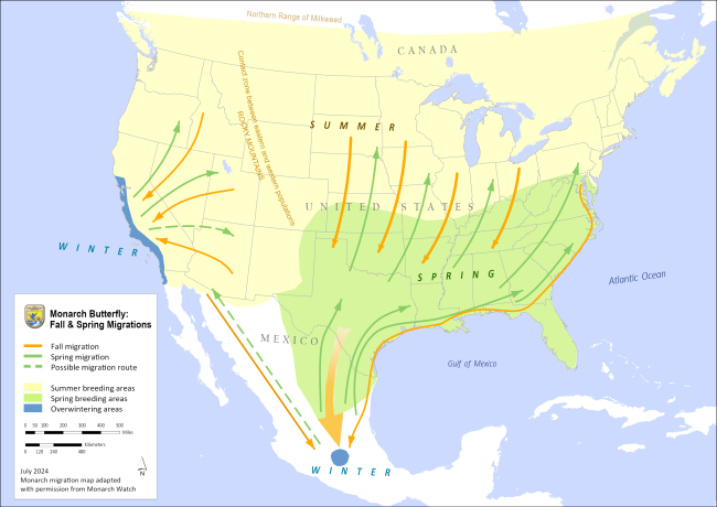 Monarch butterfly migration map | FWS.gov