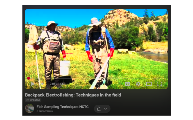 Backpack Electrofishing: Techniques in the Field | FWS.gov