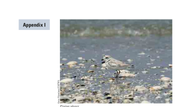 The Nantucket NWR Comprehensive Conservation Plan Appendix I Piping ...