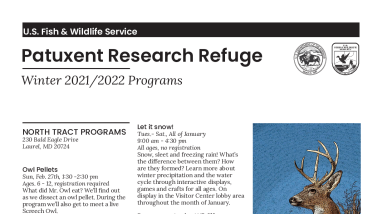 Patuxent Program Winter 2021 | FWS.gov