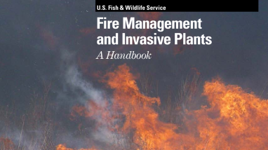 Fire management and invasive plants: a handbook | FWS.gov
