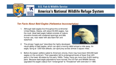 Ten Facts About Bald Eagles | FWS.gov