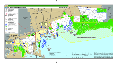 Refuge Hunt Brochure for St. Marks NWR | FWS.gov