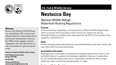 Nestucca Bay NWR Waterfowl Hunt 2024_25 | FWS.gov