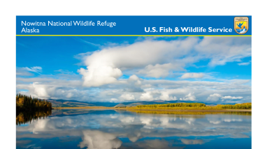 Nowitna Wild and Scenic River Scoping Newsletter 2023 | FWS.gov
