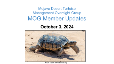 Oct 2024 MOG Meeting - Member Updates | FWS.gov