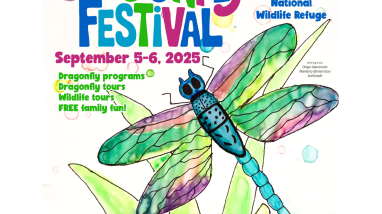 2025 Dragonfly Festival Flyer | FWS.gov