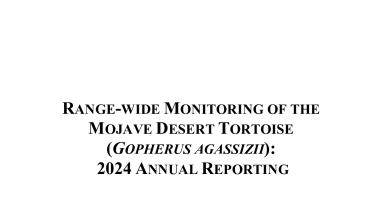 2024 Range-wide Mojave Desert Tortoise Monitoring Report | FWS.gov