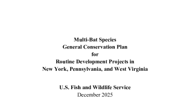 Multi-Bat Species General Conservation Plan for NY, PA, and WV | FWS.gov