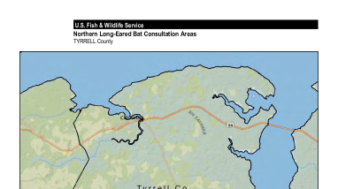 Northern long-eared bat maternity roosting trees in North Carolina ...
