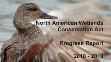 North American Wetlands Conservation Act Progress Report 2018-2019 ...