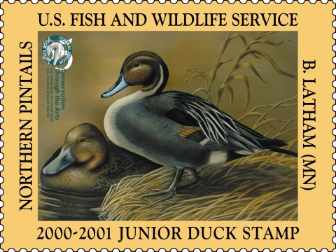 Junior Duck Stamp 2000-2001 | FWS.gov