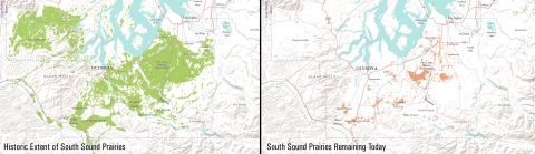 Conservation of Prairies in Western Washington | U.S. Fish & Wildlife ...