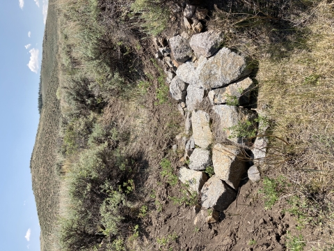 Zeedyk structure in sagebrush country in Gunnison Basin, Colorado | FWS.gov