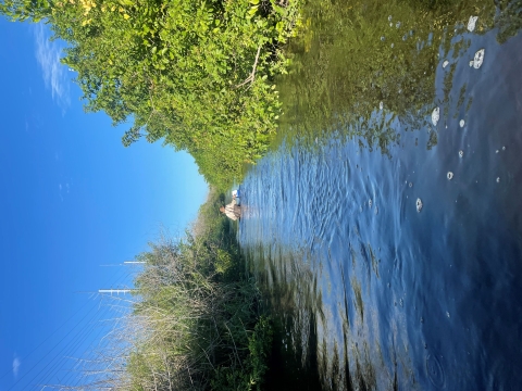 Fisheries Biologists Barging Their Way Into the South Florida Canal ...