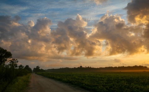 Sunrise on Pocosin Lakes National Wildlife Refuge | U.S. Fish ...