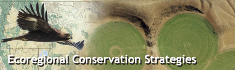 Golden Eagle Science in the West | U.S. Fish & Wildlife Service