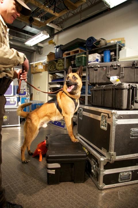 Law enforcement with K-9 | FWS.gov