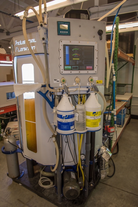 Plankton reactor for growing brown algae | FWS.gov