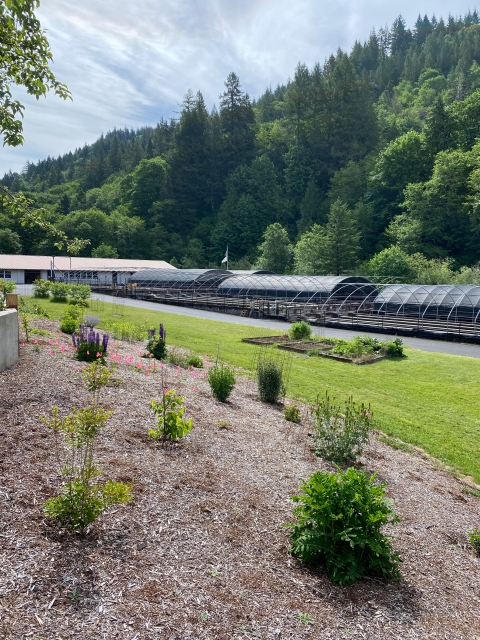 Eagle Creek National Fish Hatchery | FWS.gov