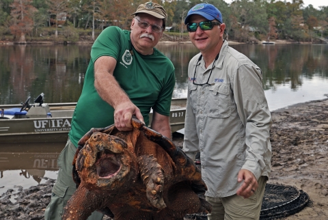 Suwannee Alligator Snapping Turtle | U.S. Fish & Wildlife Service