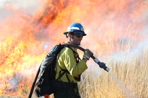 Using Fire to Manage Grasslands | U.S. Fish & Wildlife Service