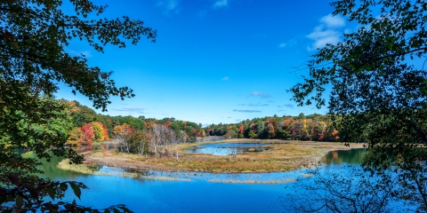Rachel Carson National Wildlife Refuge | U.S. Fish & Wildlife Service