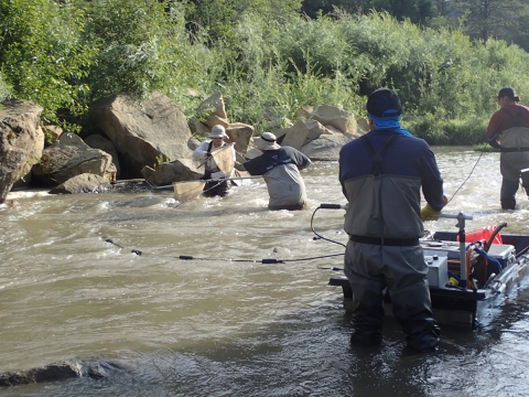 Barge Electrofishing | U.S. Fish & Wildlife Service