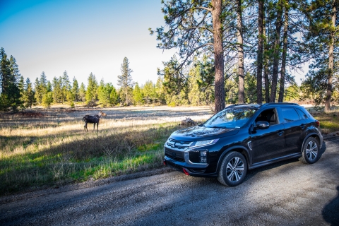 Turnbull NWR - Moose Next to Car | FWS.gov