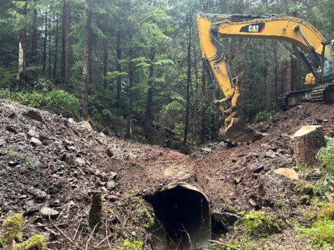Restoring Salmon Habitat, Strengthening Local Economies, and Improving ...