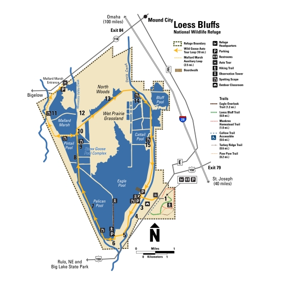 Auto tour at Loess Bluffs National Wildlife Refuge | FWS.gov