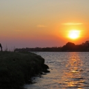 Elephant-in-Zambia-Credit-Tatiana-Hendrix-USFWS.jpg | FWS.gov