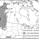 Bull trout range map | FWS.gov