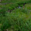 Cripple Creek Culvert banner | FWS.gov