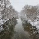 Pennington Creek at Tishomingo National Fish Hatchery | FWS.gov